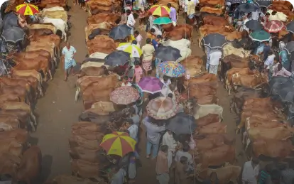 WeGro - Investing in Agriculture, Simplified